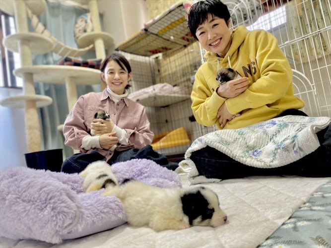 有働由美子＆石田ゆり子が生後3週間の子犬のミルクボランティアをお手伝い『嗚呼!!みんなの動物園2時間SP』 | TV LIFE web